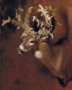 Wildest, Gnarliest, Freakiest Bucks of All Time