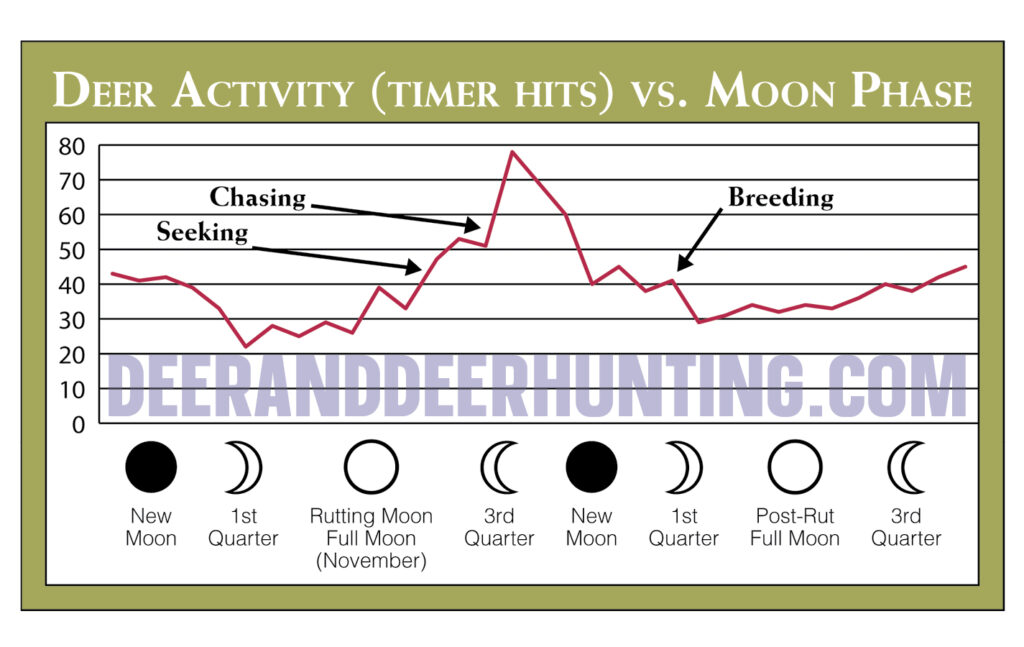 2022 Whitetail Rut Predictions | Deer & Deer Hunting