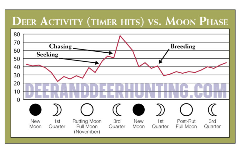 2022 Whitetail Rut Predictions | Deer & Deer Hunting