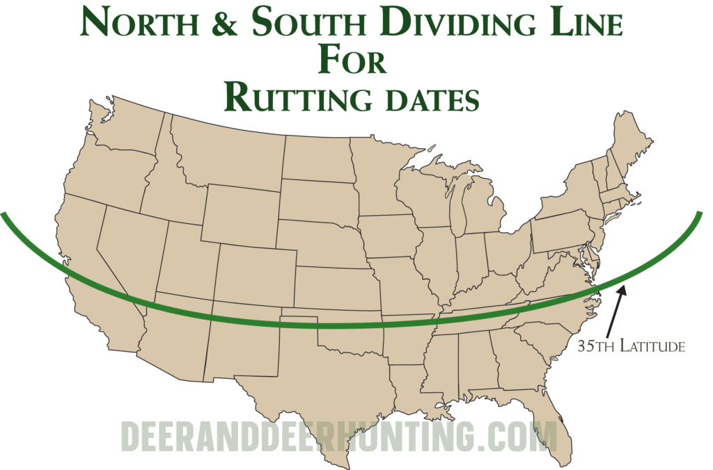 2023 Whitetail Rut Predictions | Deer & Deer Hunting