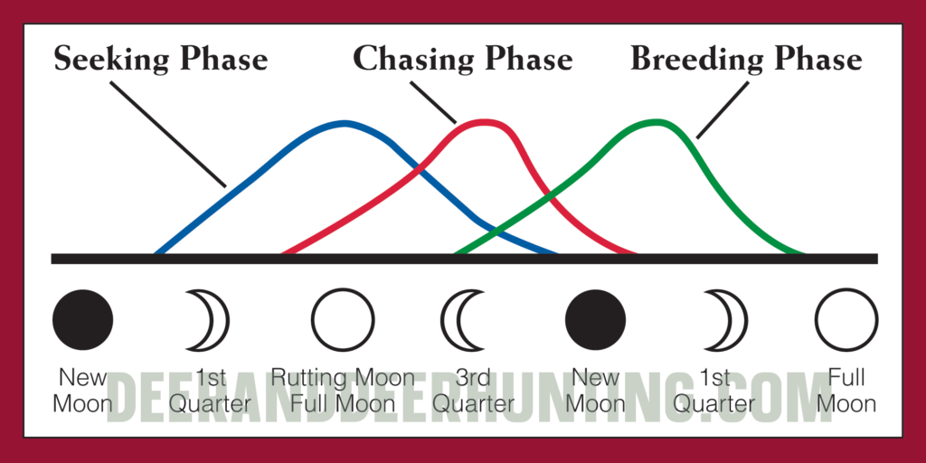 2023 Whitetail Rut Predictions | Deer & Deer Hunting