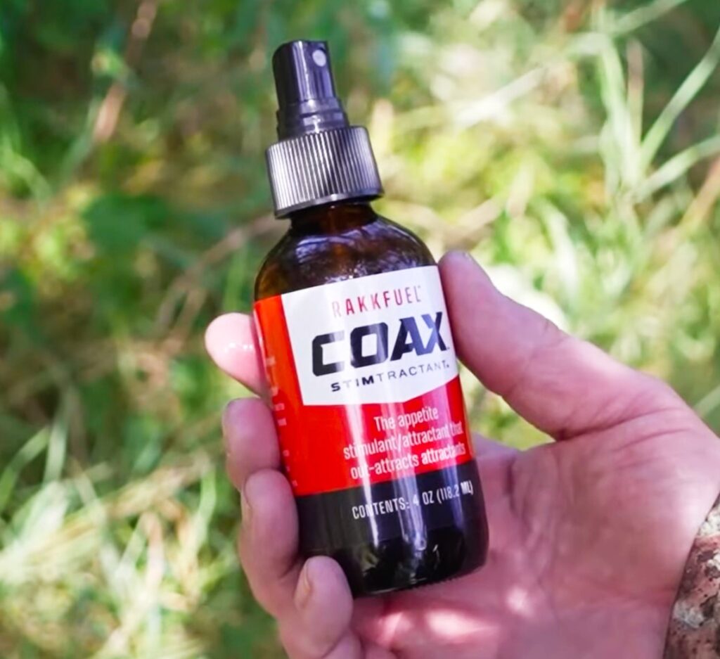 COAX is Not Your Ordinary Buck Attractant