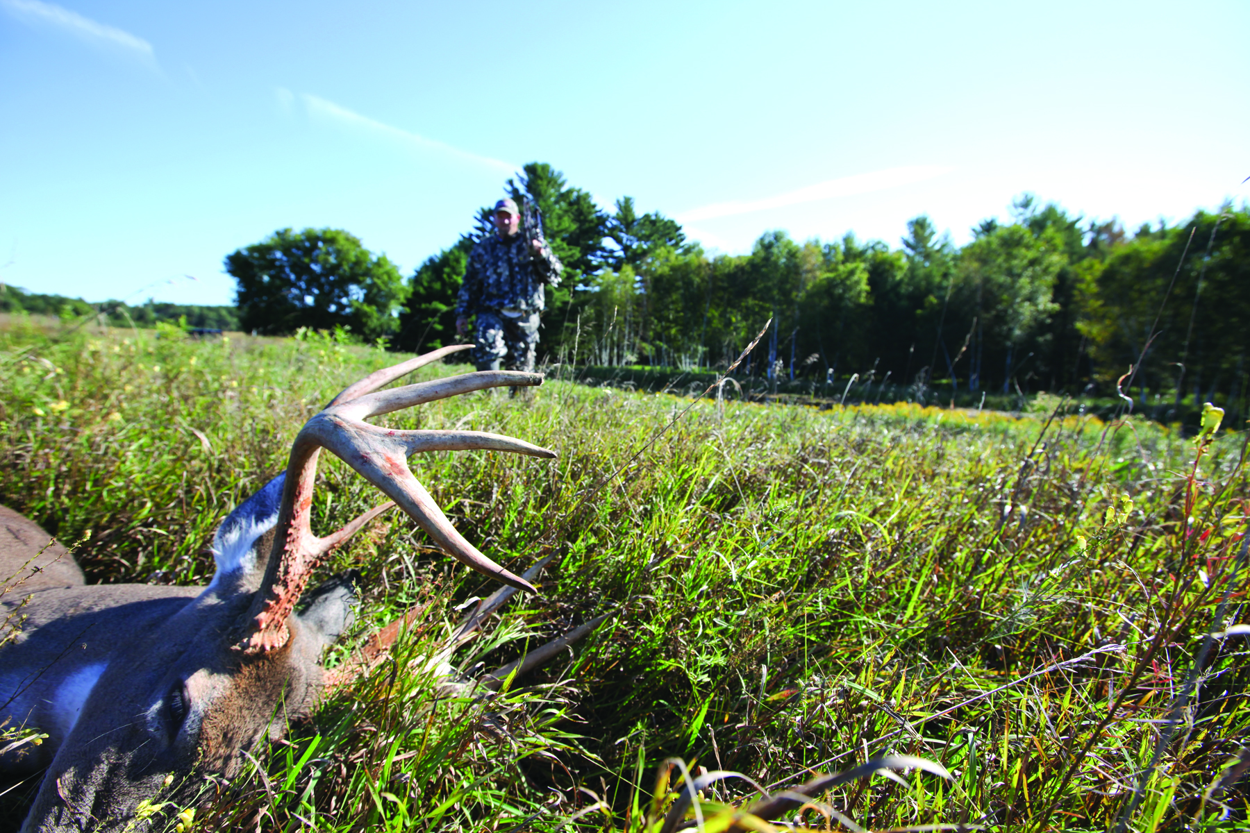 7 Biggest Mistakes of Deer Hunting Land Management