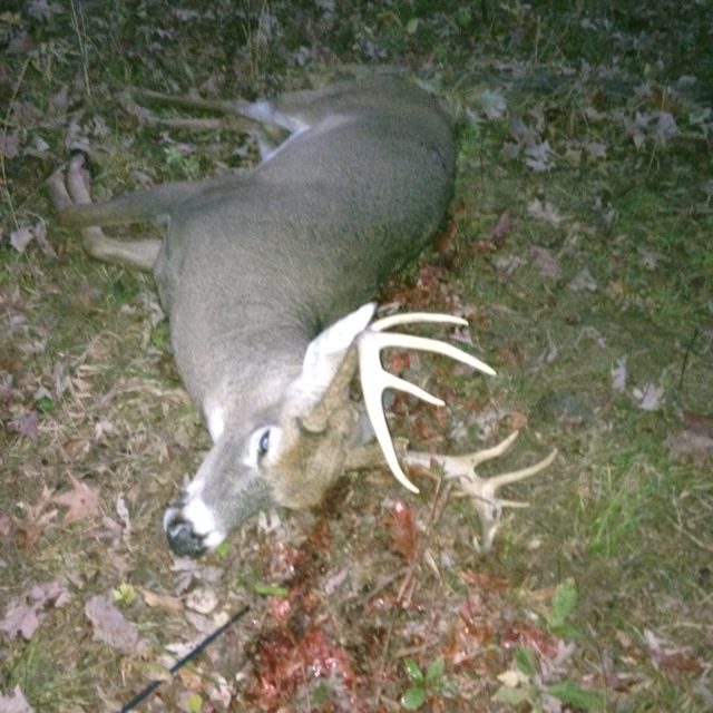 Hunter's First Bluegrass Bow Buck Carries Plenty of Bone