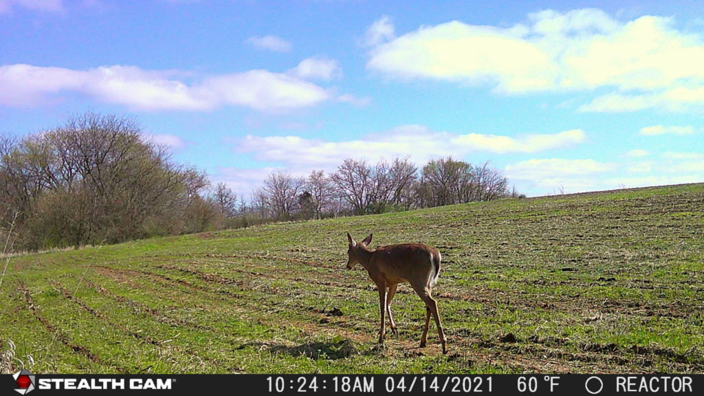 Stealth Cam Launches Enhanced Command Pro App for Cellular Trail Cameras