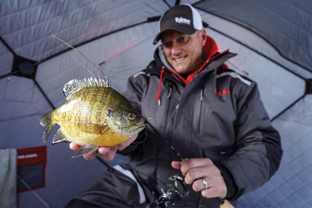Bass Tactics for Big Bluegills | Ice Fishing Magazine