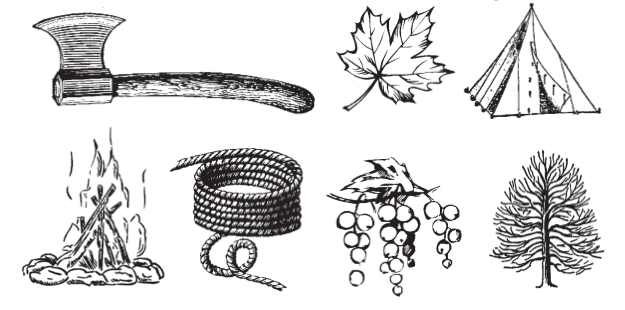 Bushcraft 101: Tips and Tricks for Your Packs | Deer & Deer Hunting