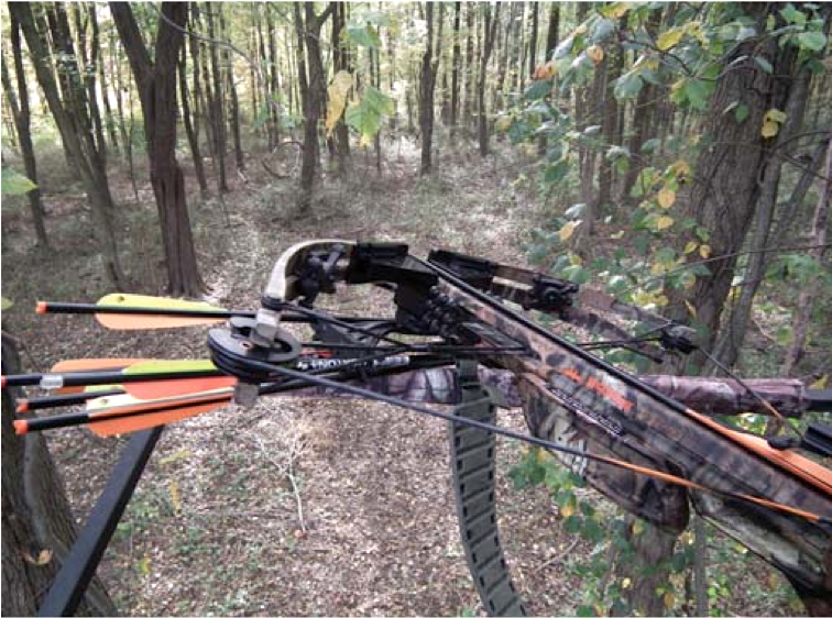 7 Tips You Should Know About Deer Hunting with a Crossbow