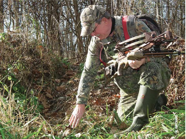 7 Tips You Should Know About Deer Hunting with a Crossbow