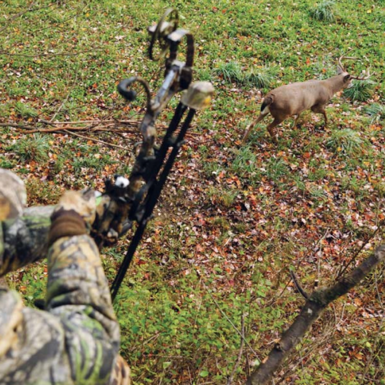 Best Tips for Consistent, Successful Bowhunting Accuracy