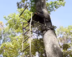 First Look: Field & Stream Shop Outpost XL Ladder Stand