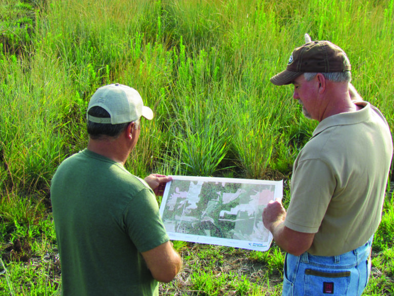 How to Pick the Right Deer Habitat Consultant | Deer & Deer Hunting