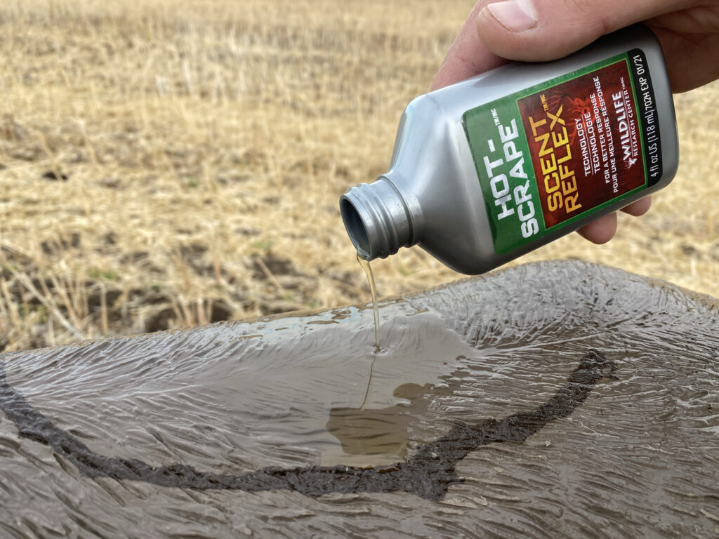 Scrape Hunting 101: Master The Drip | Deer & Deer Hunting