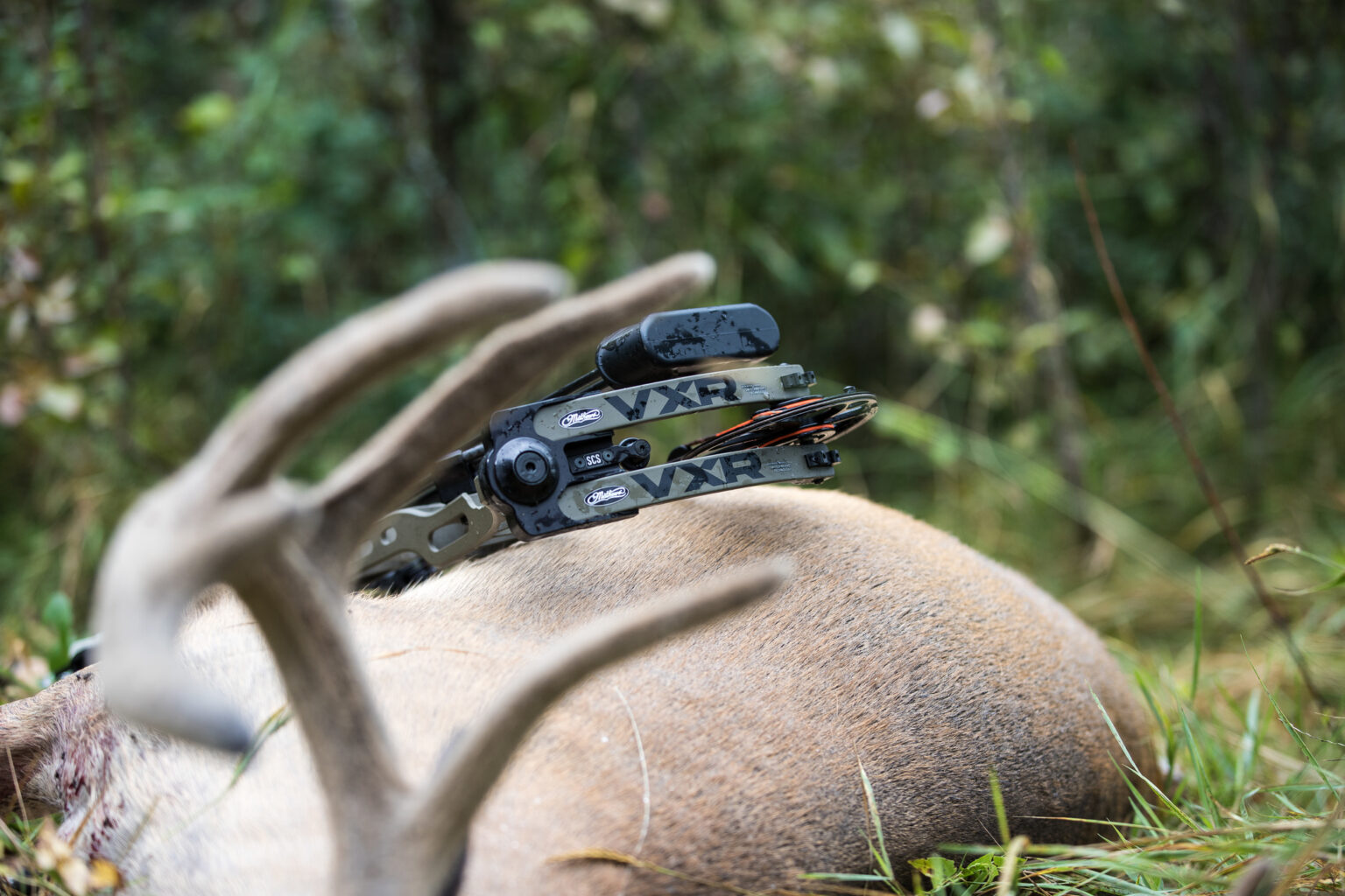 12 Best Public Land Deer Hunts in the Midwest | Deer & Deer Hunting