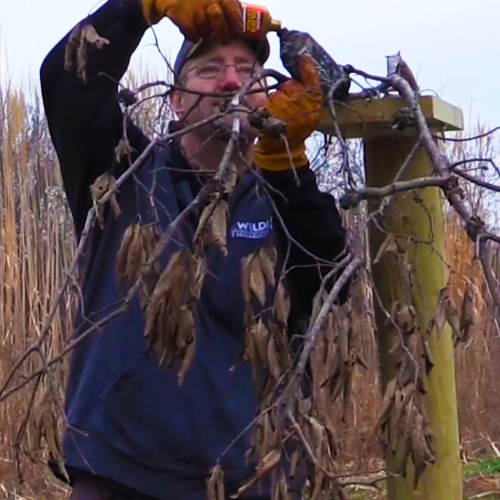 Make a Mock Scrape Tree Anywhere | Deer & Deer Hunting