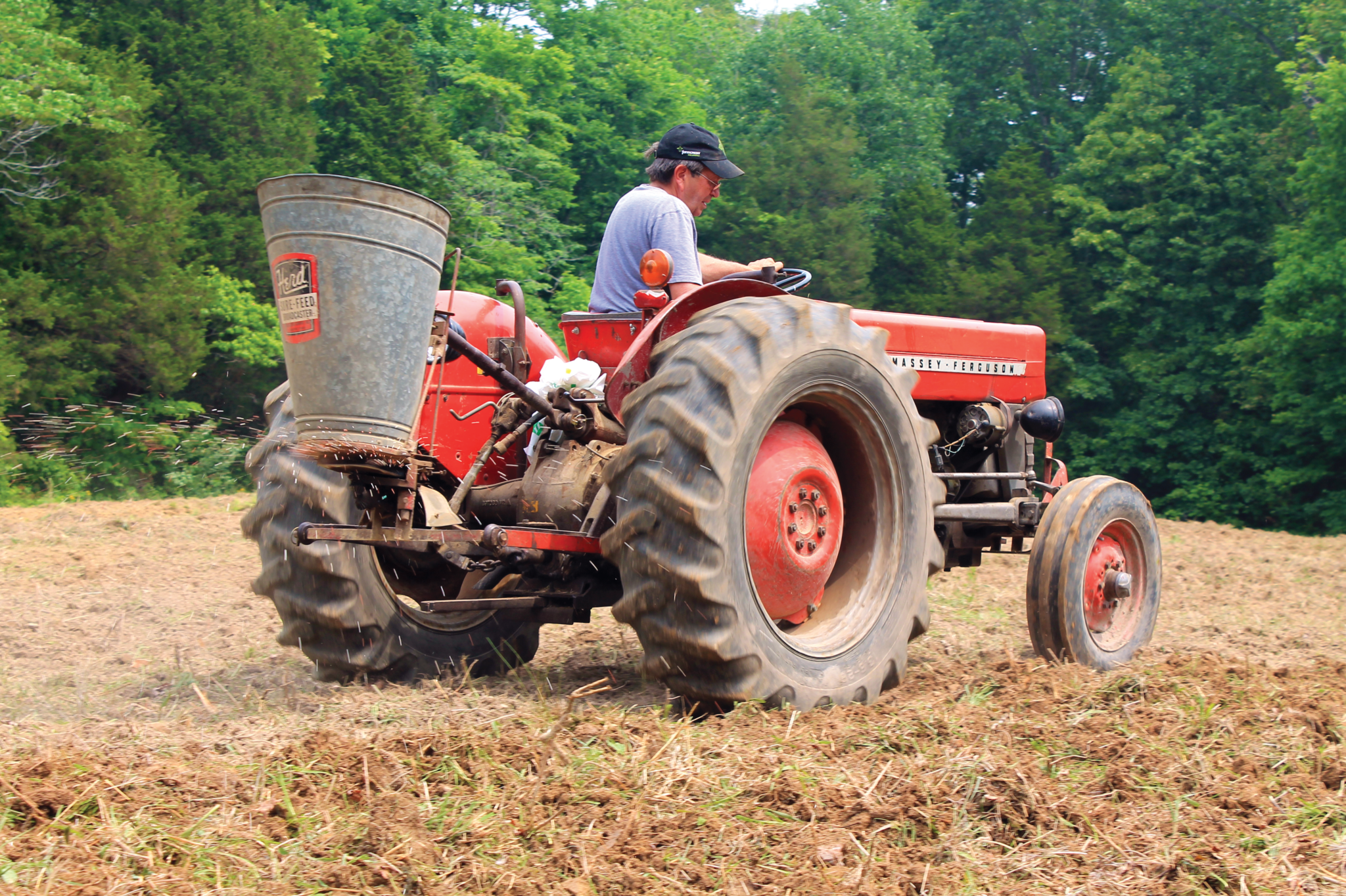 How To Build a Mature Buck Sanctuary