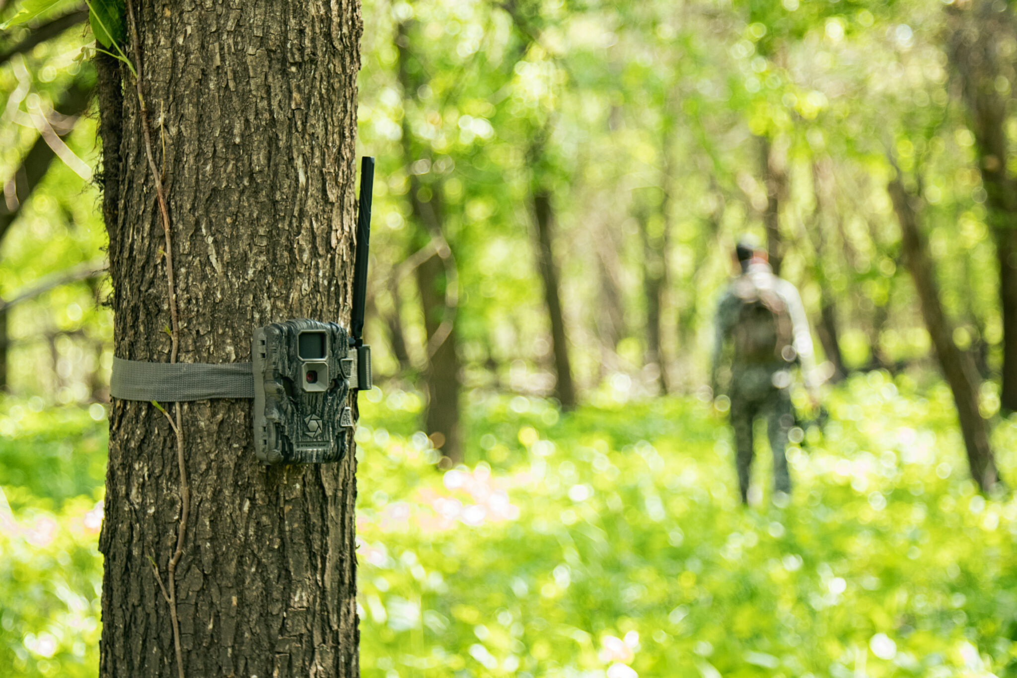 Stealth Cam Good/Better/Best Cellular Cameras and Data Plans