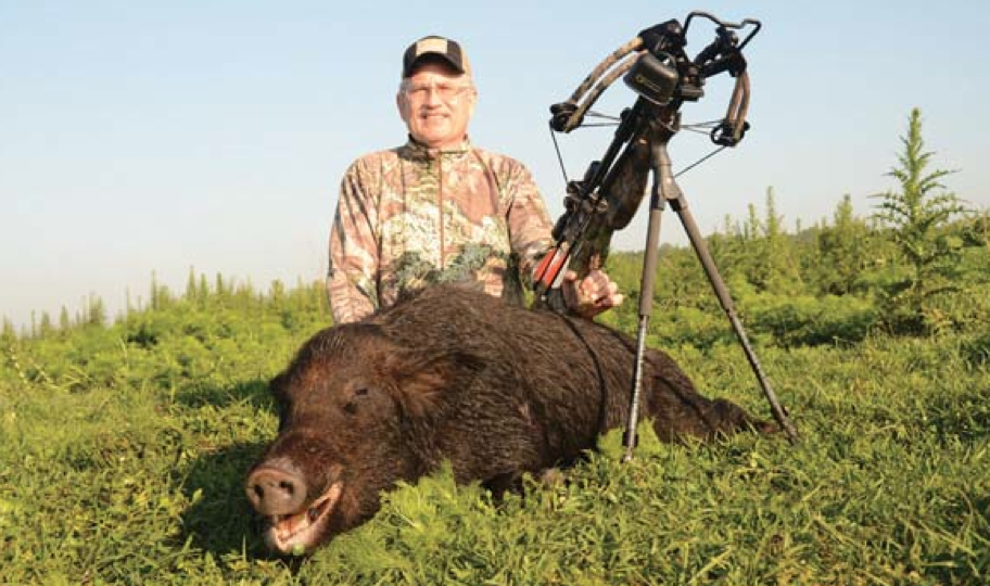 Blazing Bolts: How Much Speed Do You Need for a Crossbow?