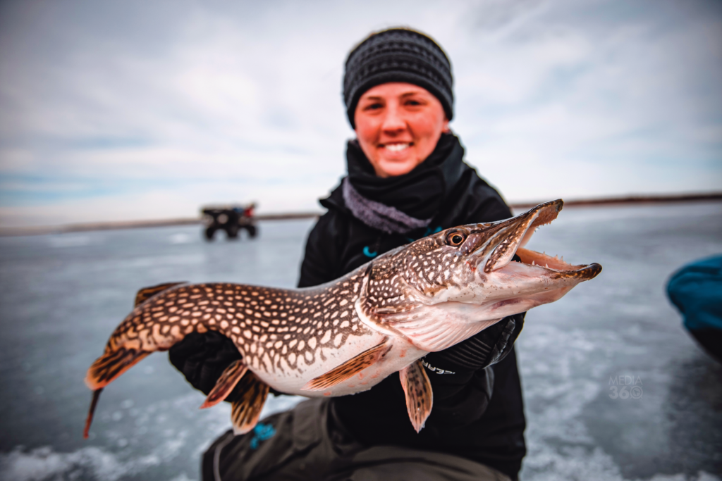 Head to the Backwaters for Northern Pike | Ice Fishing Magazine
