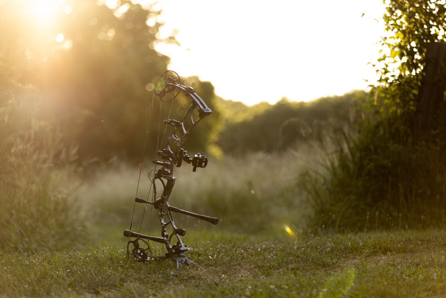 The World's Most Shootable Bow Just Got Faster | Introducing the 2023 Elite Omnia