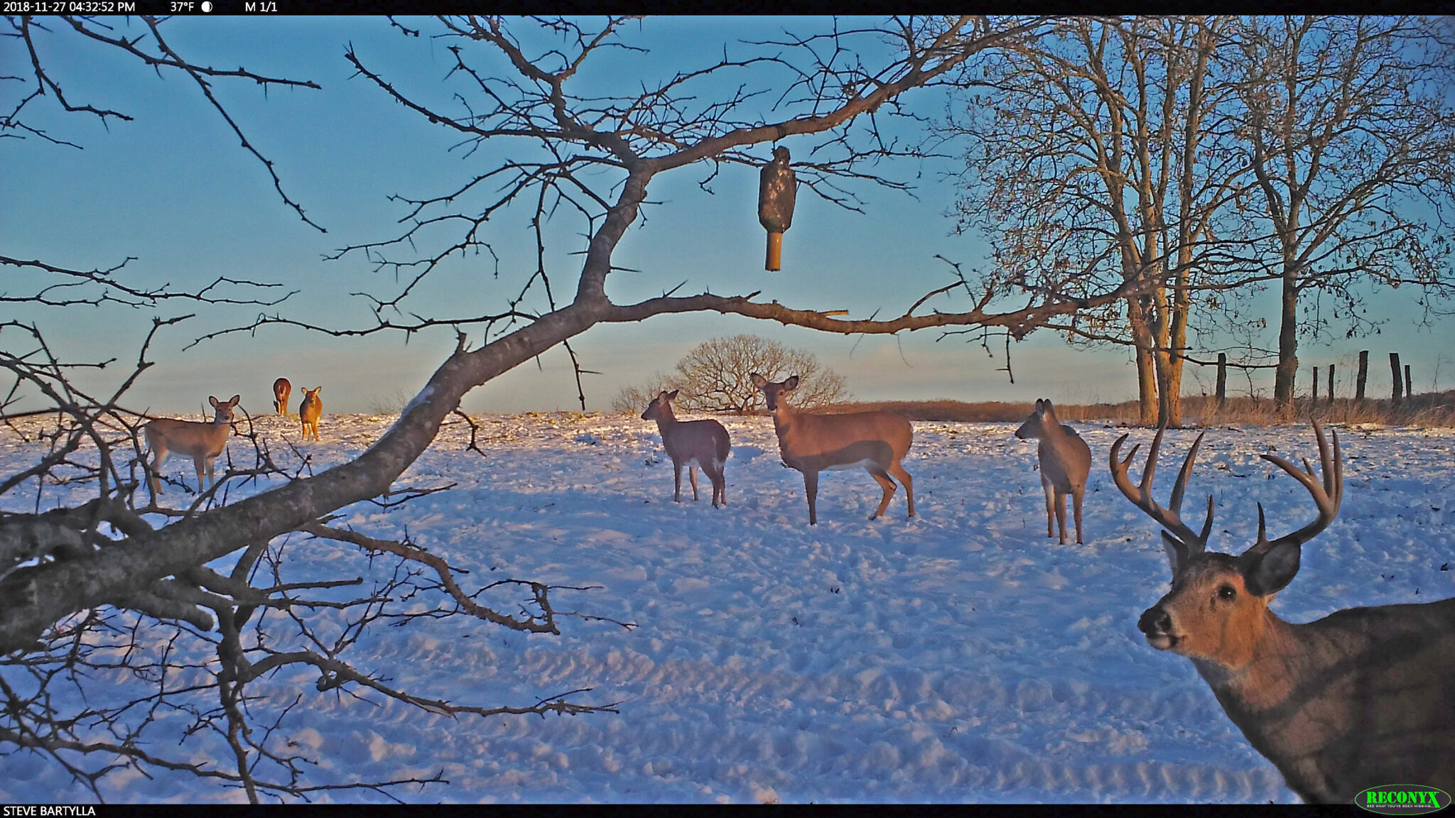 Get the Max From Your Trail Cameras | Deer & Deer Hunting