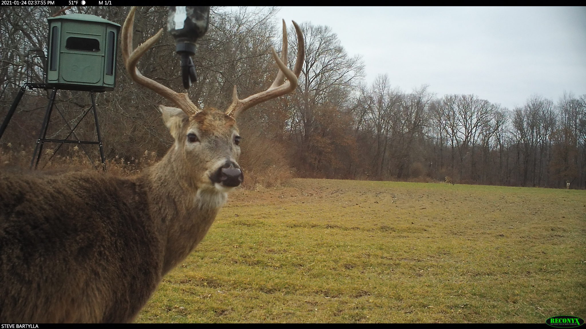 How to Kill a Big Buck Over a Mock Scrape | Deer & Deer Hunting