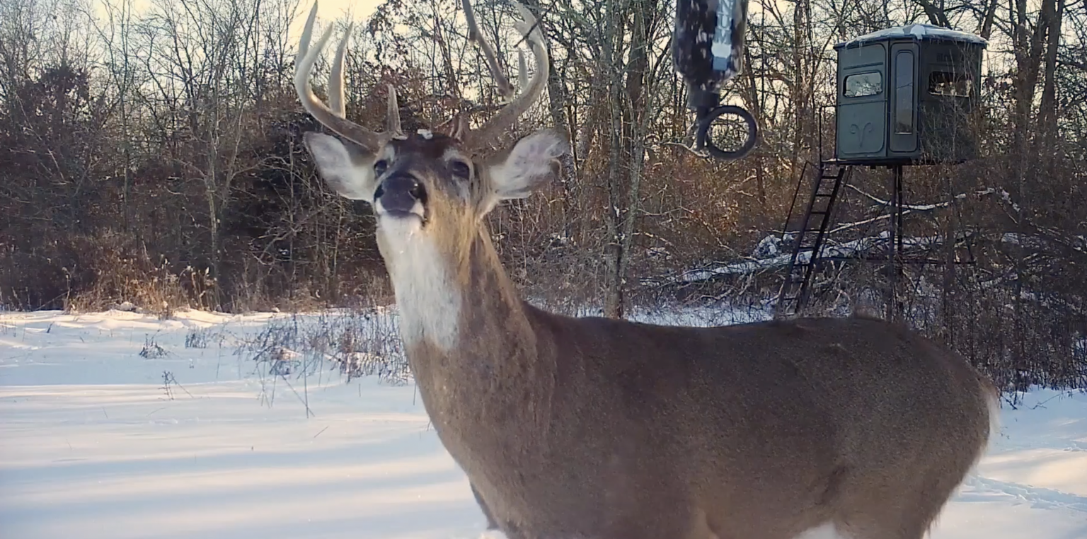 Locate Deer Travel Patterns in an Easy, Unique Way