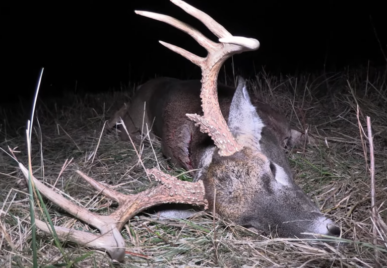 Deer & Deer Hunting TV Archives