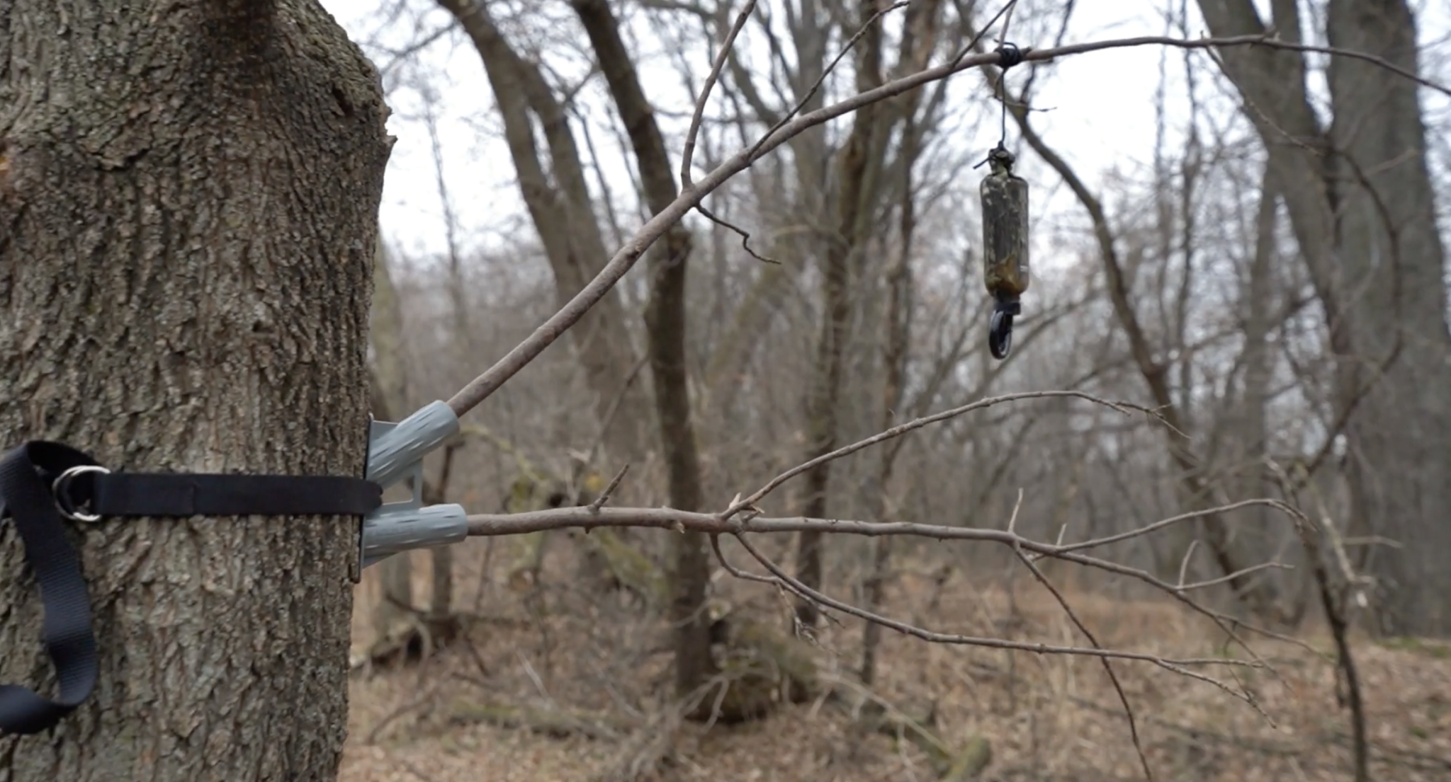 mock scrape kit Archives | Deer & Deer Hunting