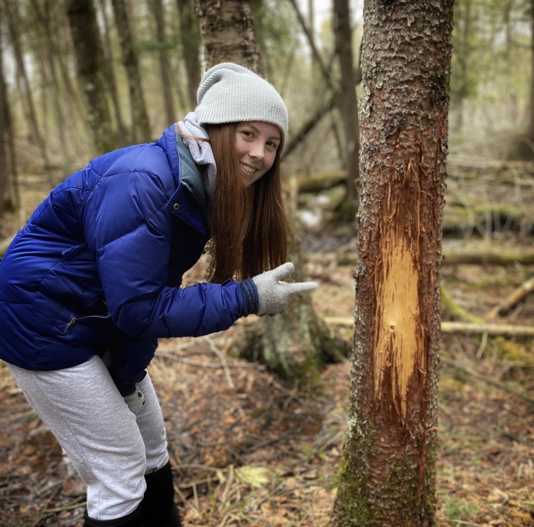 The Science of Buck Rubs