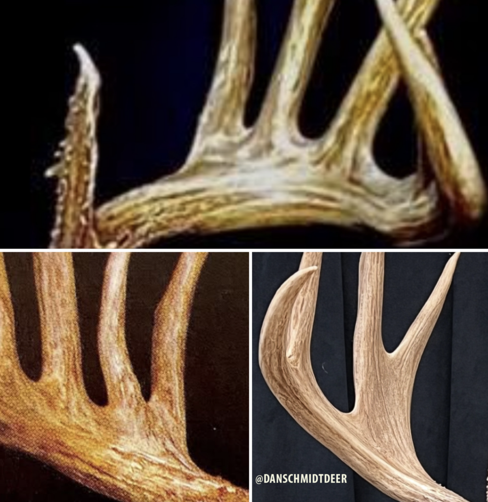 Which of These Bucks Has a Shared Base?