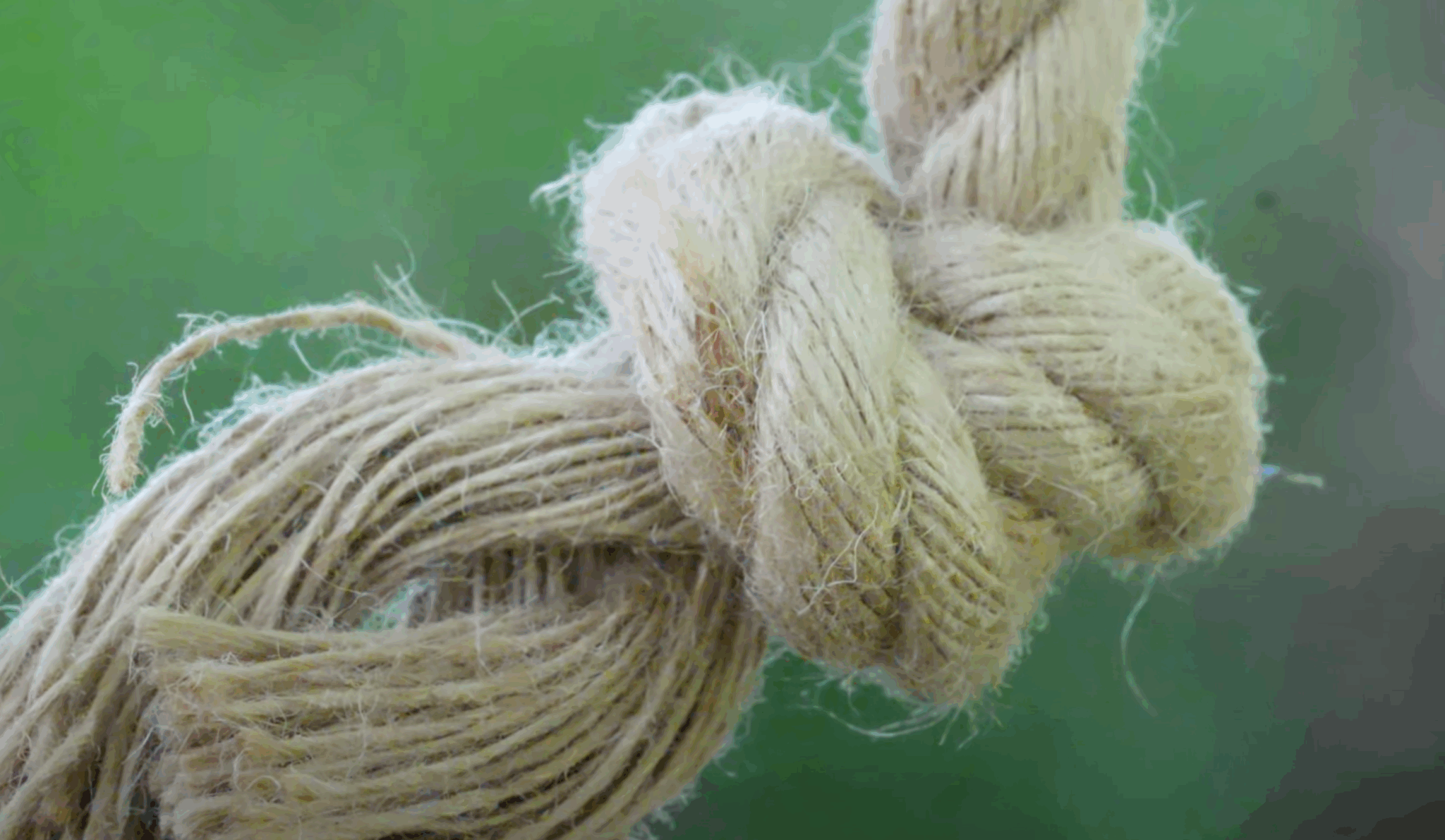 scrape rope Archives | Deer & Deer Hunting