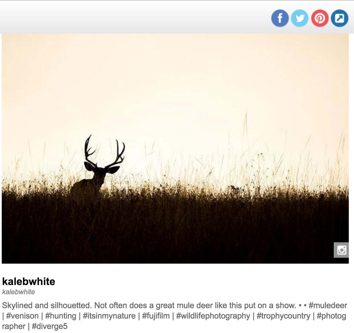 Express Your Hunting Passion in the Sitka #Diverge5 Photo Contest ...