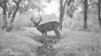 Five Tips for Managing Buck Fever
