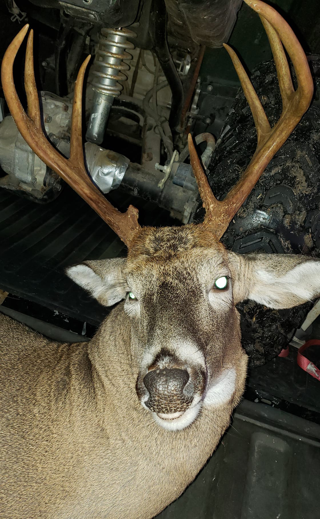 D+DH Superfans: Delaware and Florida | Deer & Deer Hunting