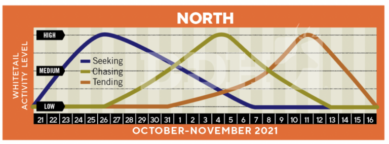 2021 Whitetail Rut Predictions | Deer & Deer Hunting