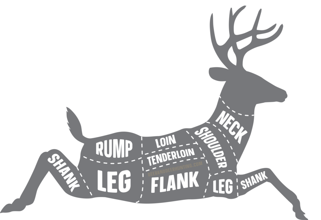 Boning Venison Quickly, Easily and Properly