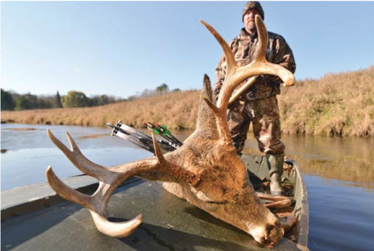 How and Why the Weather Affects Whitetail Deer Movement and Hunting
