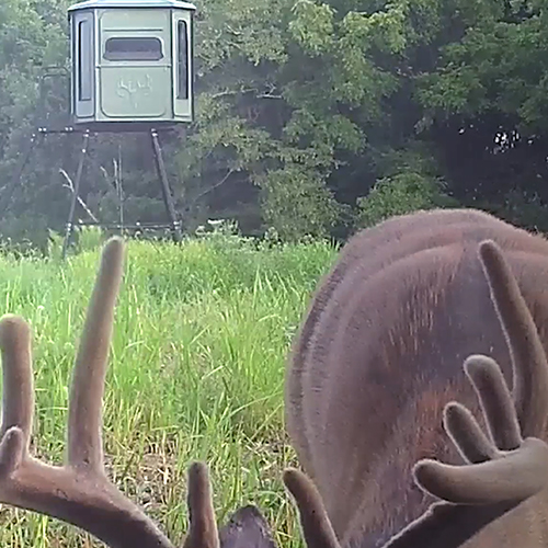 Strategic Hunting Stand Setups | Deer & Deer Hunting