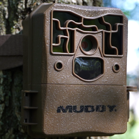 Pro Cam 18 Archives | Deer & Deer Hunting