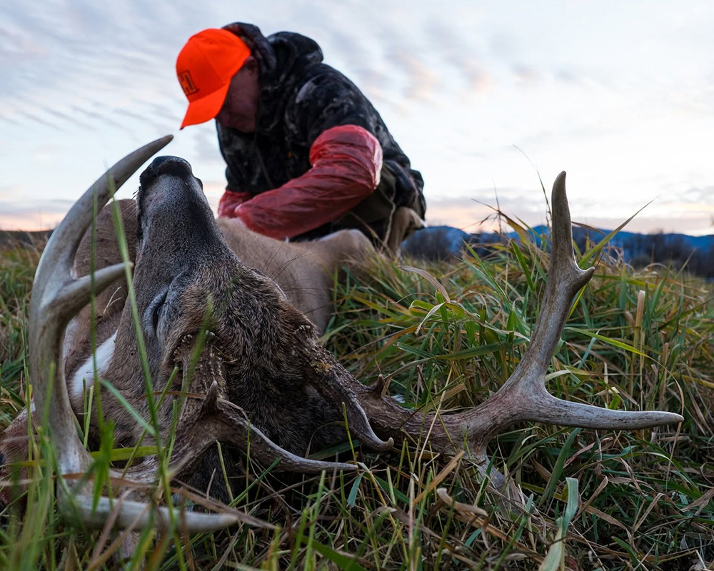 3 States Set New Whitetail Harvest Records