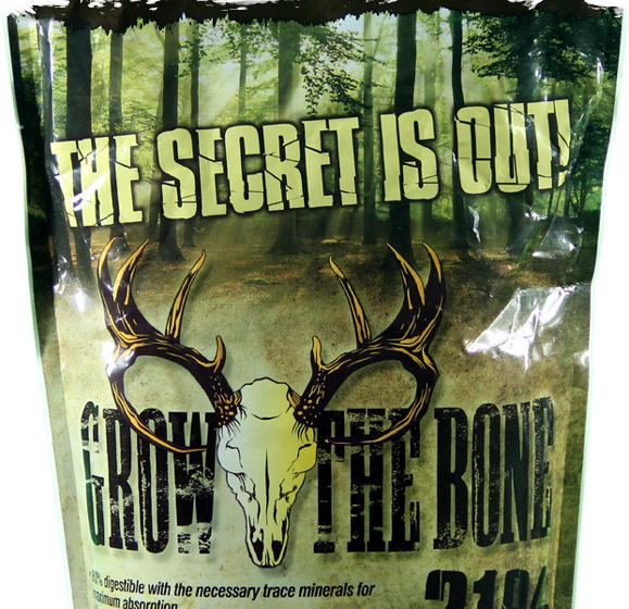 Big Bucks are Flocking to Grow the Bone Sites | Deer & Deer Hunting