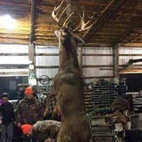 What’s The Heaviest Buck You’ve Ever Seen? Stump Sitters® Insights