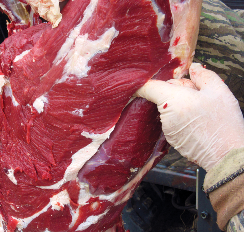 Boning Venison Quickly, Easily and Properly