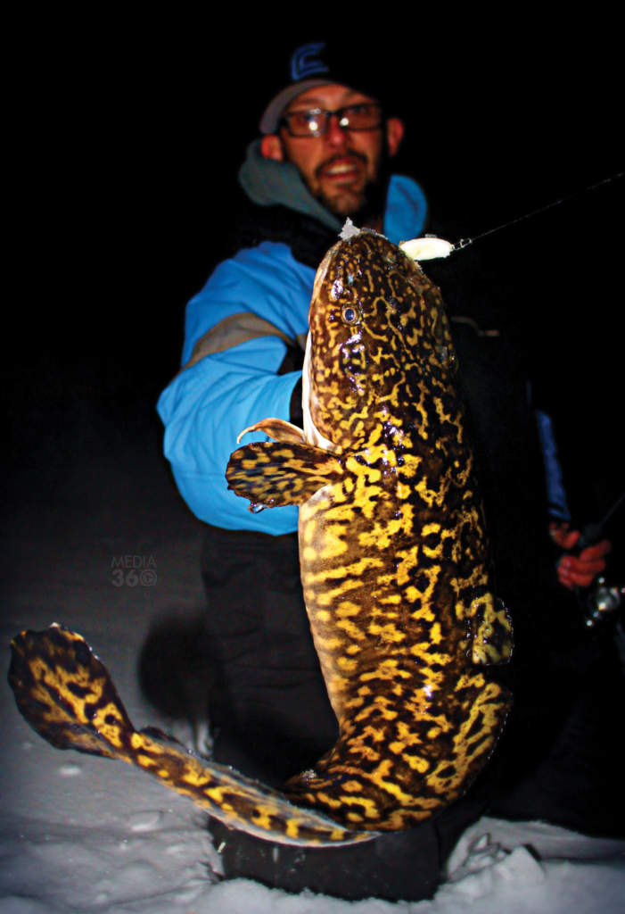 Ice Fishing’s Most Misunderstood Fish | Ice Fishing Magazine