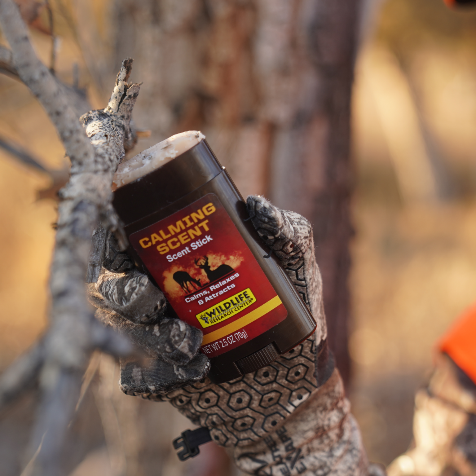 scent stick Archives | Deer & Deer Hunting