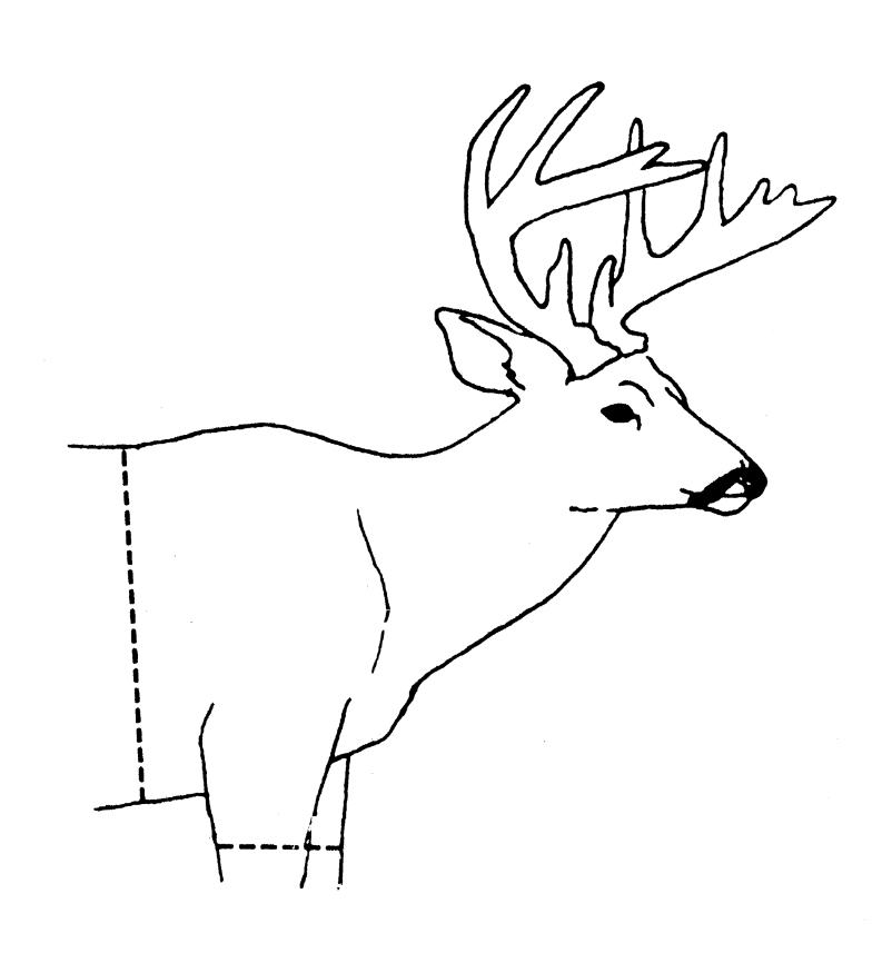 How to cape a buck for a shoulder mount
