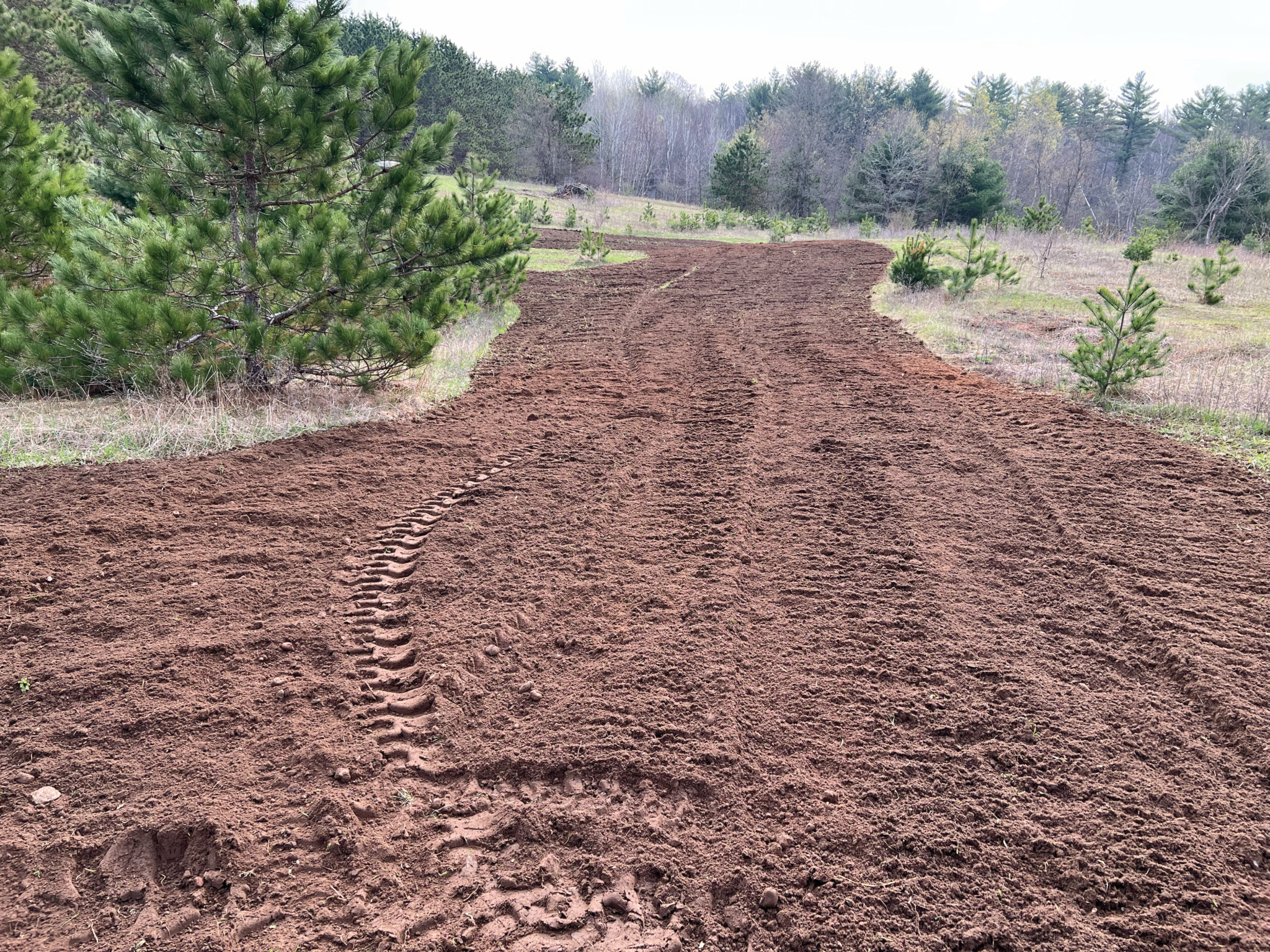 Create a Dynamite Fall Food Plot on a Budget