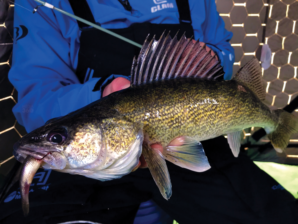 Dead-Sticking Strategies to Reel in More Walleyes | Ice Fishing Magazine