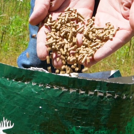 A Year-Round Protein Source for Whitetails | Deer & Deer Hunting
